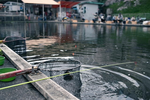 【成田市】昭和から続く谷養魚場｜懐かしくて、ちょうどいい成田の穴場レジャースポット | 北総らいふ